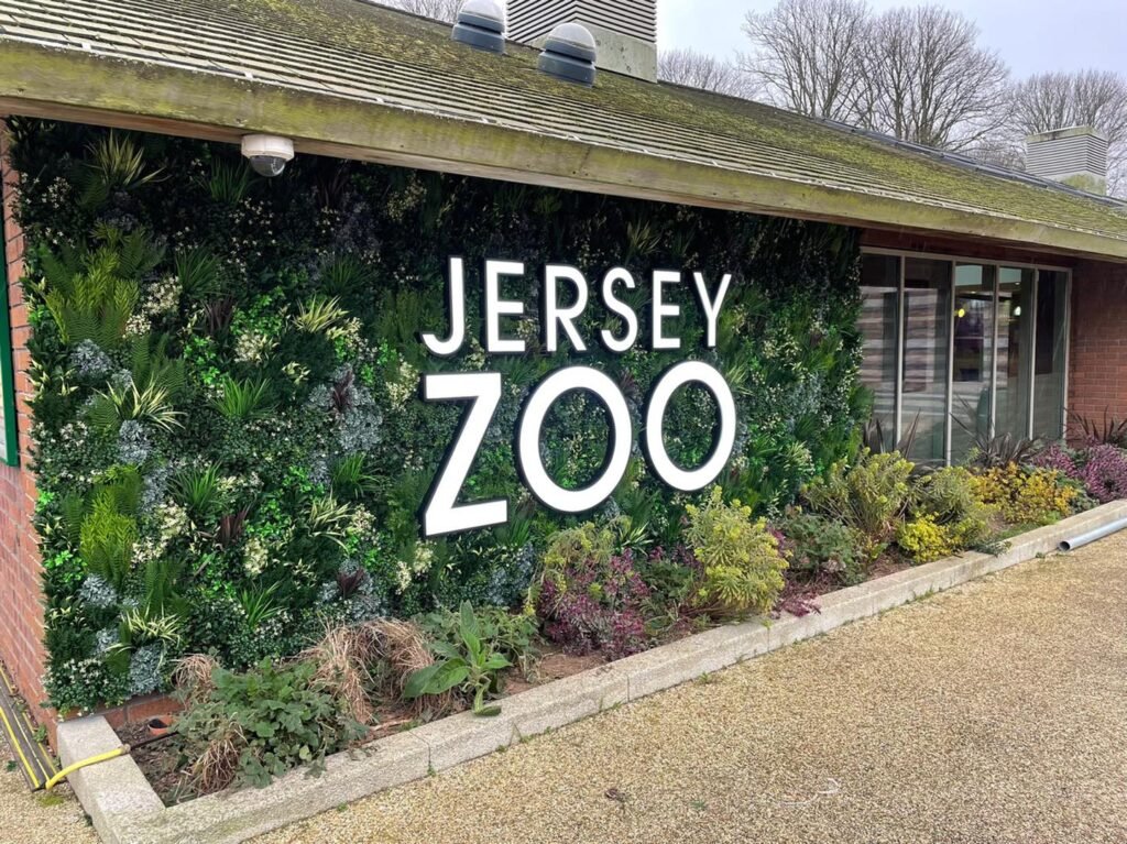 Signtech - Contact Details, Image Gallery, and Reviews - Planning.je